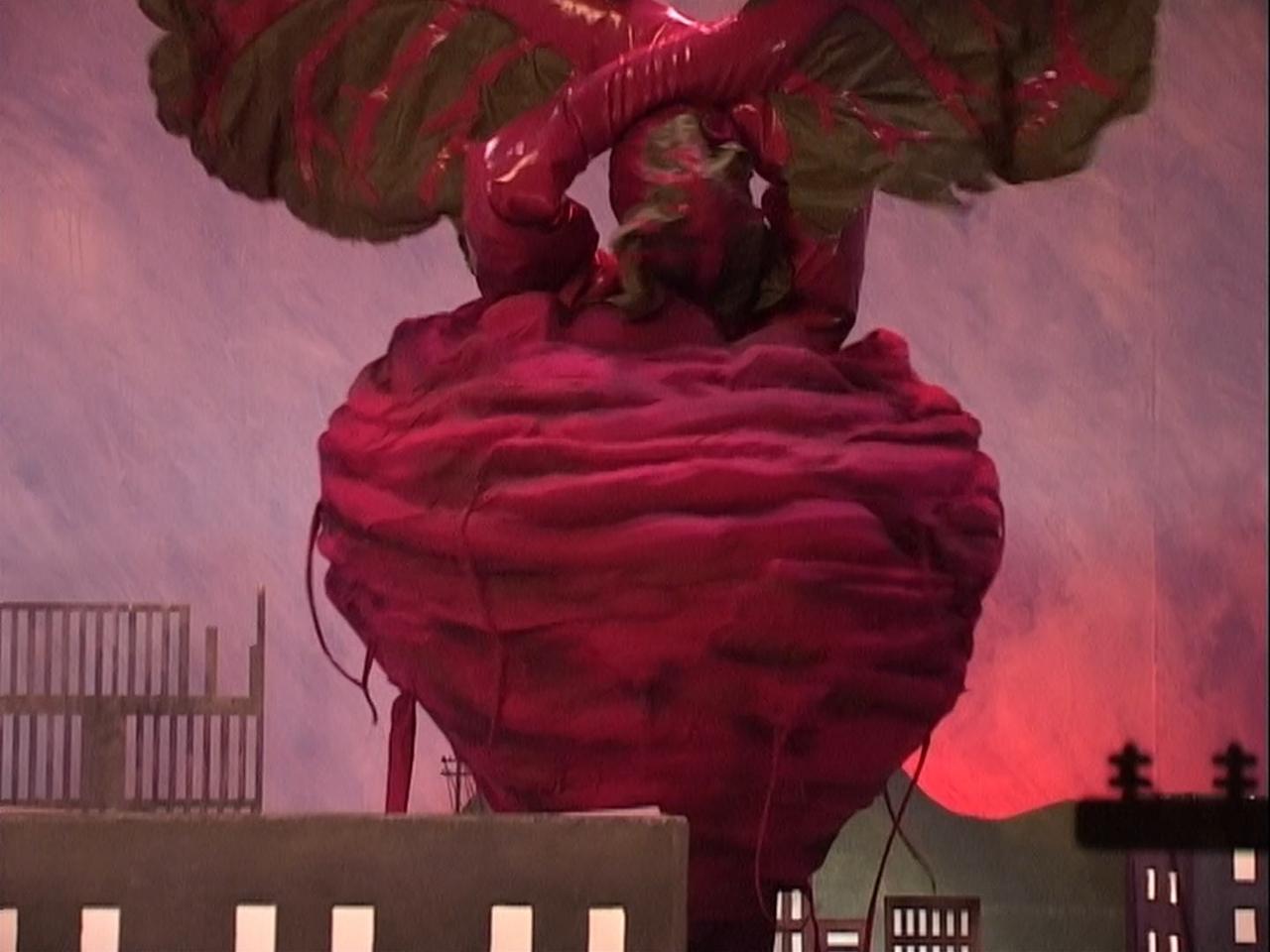 Pragueshorts - The Beetroot